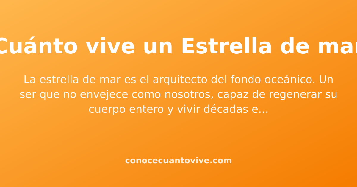 ⭐ ¿Cuánto vive una estrella de mar? Regeneración y Longevidad